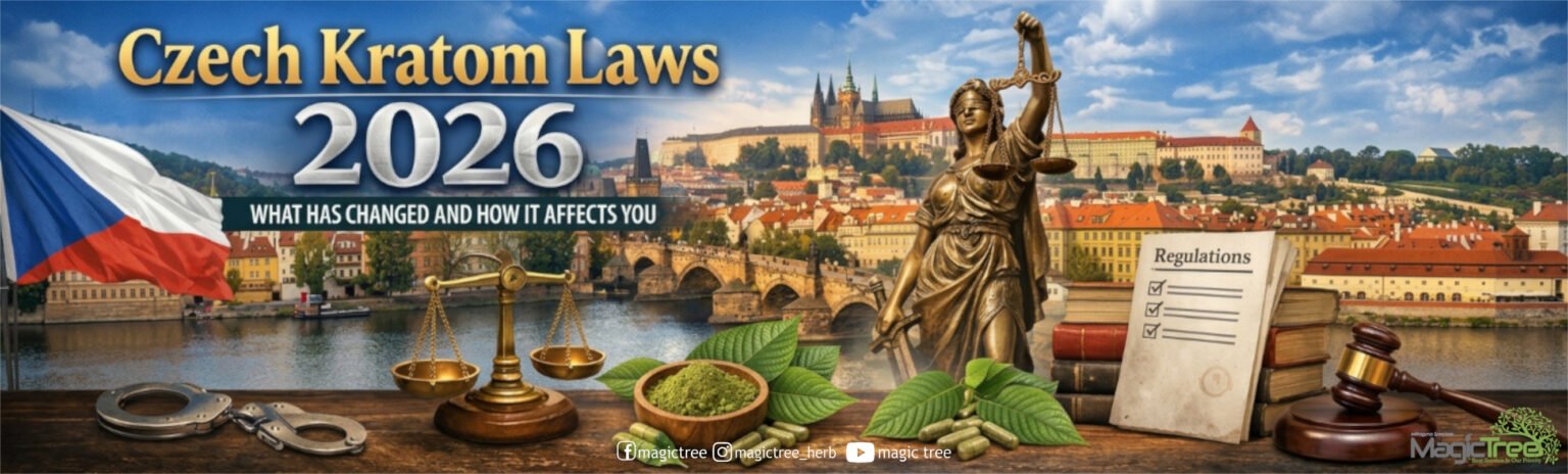 Czech Kratom Laws 2026: What Has Changed and How It Affects You - Magic ...